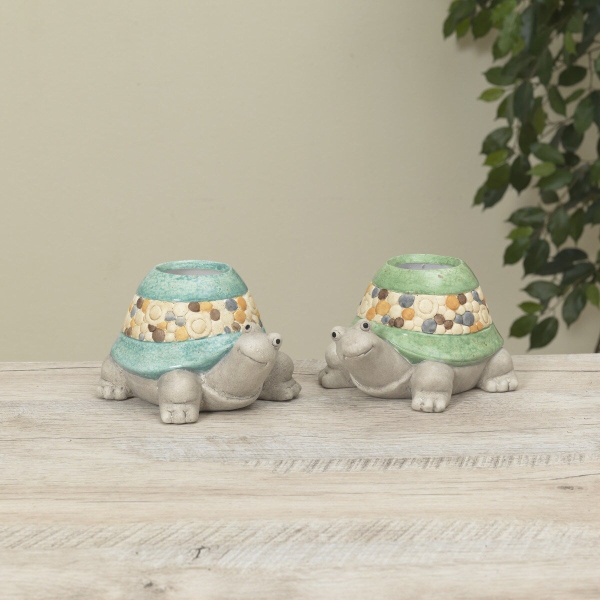Terra Cotta Turtle Planter | Dutch Garden Nursery / Burkholder ...