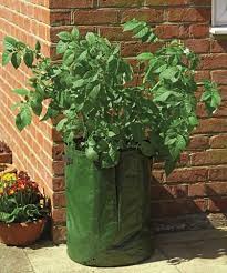 Gardman Potato Tub #5178 | Dutch Garden Nursery Burkholder Greenhouse LLC