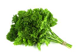 Parsley Triple Curled #6746 | Dutch Garden Nursery