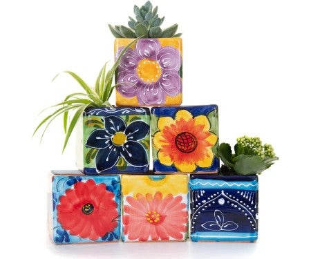 Cadiz Cube Pot | Dutch Garden Nursery Burkholder Greenhouse LLC