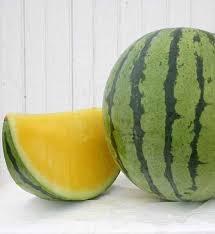 Watermelon Seedless Yellow Buttercup #2819 | Dutch Garden Nursery ...