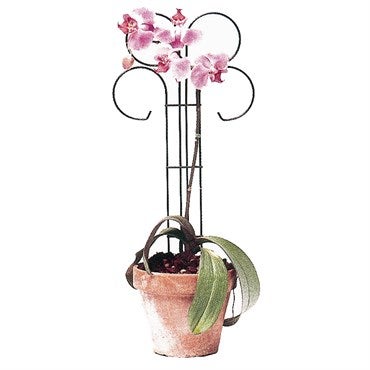 Bosmere Scroll Pot Trellis 24" | Dutch Garden Nursery Burkholder ...