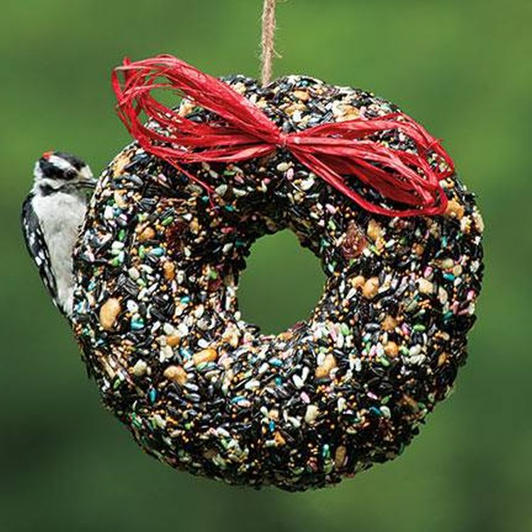 Pine Tree Birdie Wreath Holiday Wild Bird Food #9091 | Dutch Garden Nursery