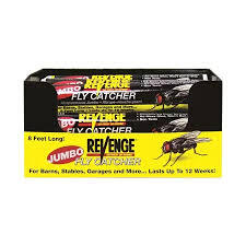Revenge Jumbo Fly Catcher #10185 | Dutch Garden Nursery / Burkholder ...